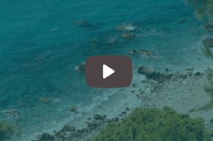 Business Broker & M&A Advisors California | Shoreline Partners